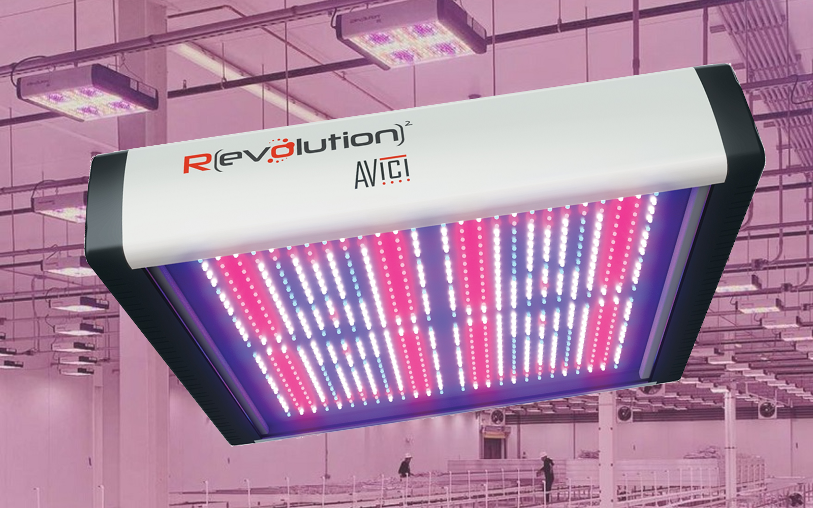 Cutting Edge Technology in Horticulture Lighting is Used by Revolution ...