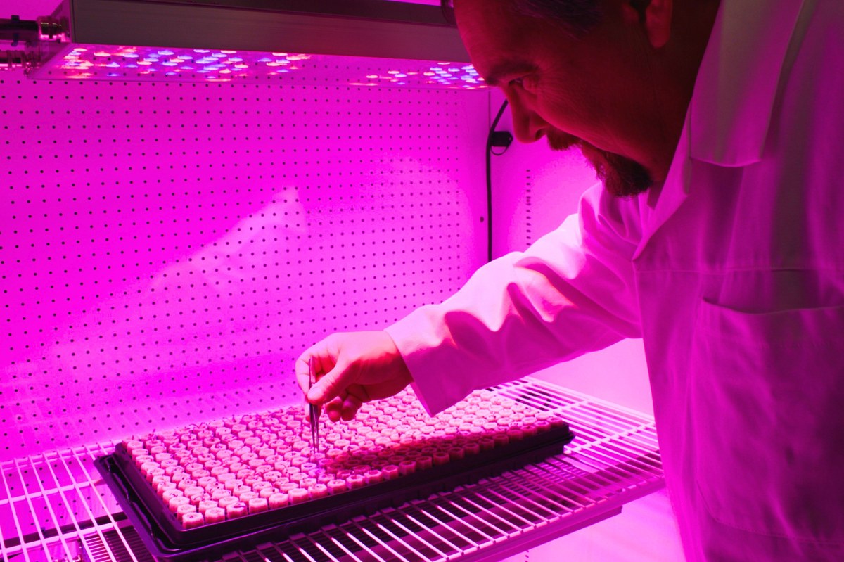 Indoor Farming Laboratory Opened — LED professional - LED Lighting ...