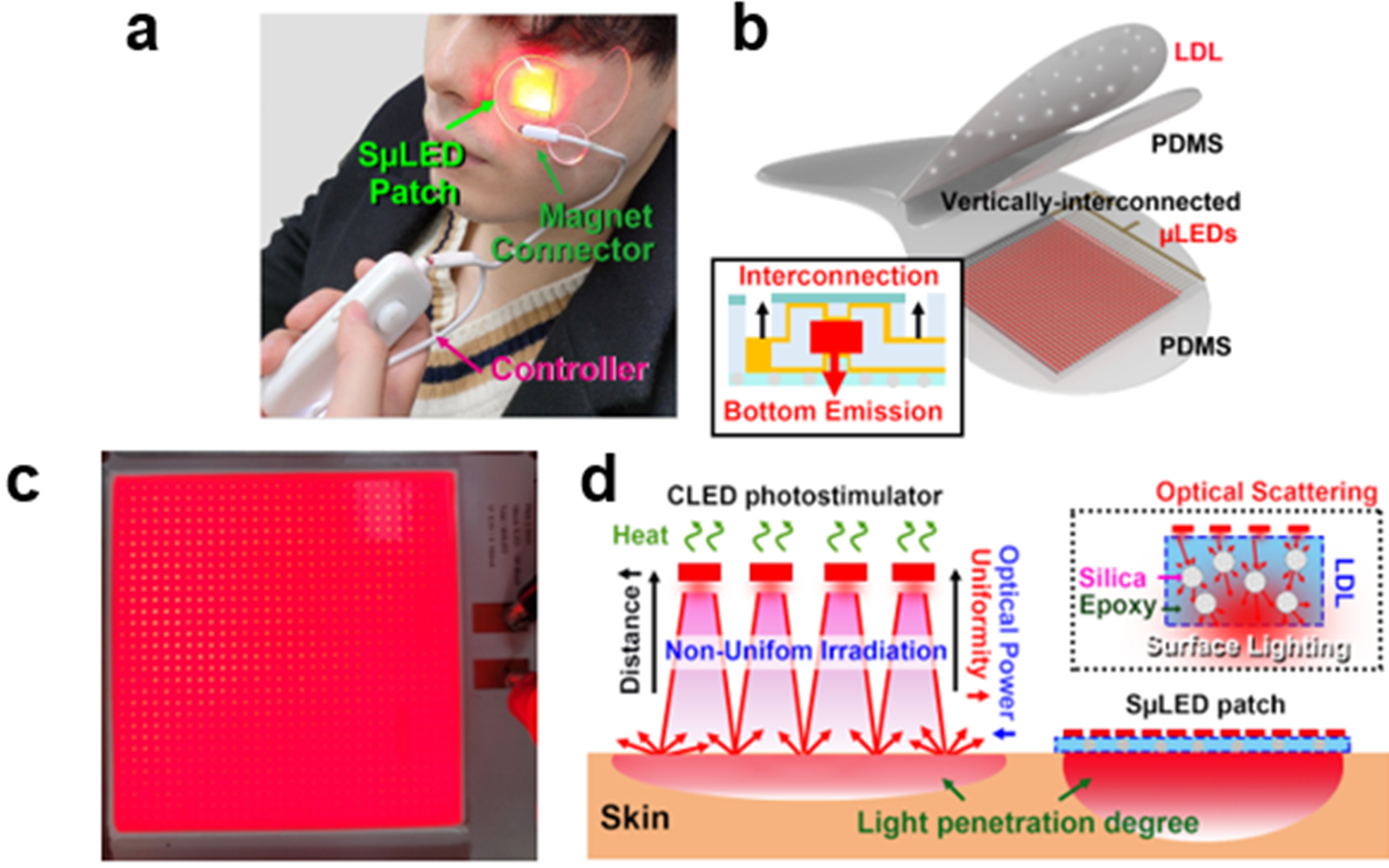 KAIST Team Develops Surface-Lighting MicroLED Patch with Significant Melanogenesis Inhibition ...