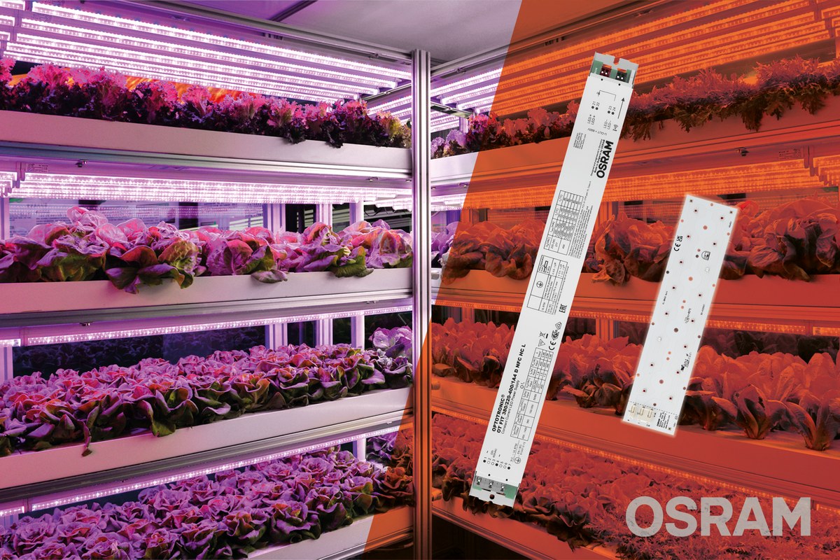 More Lighting Power for Horticulture — LED professional - LED Lighting ...