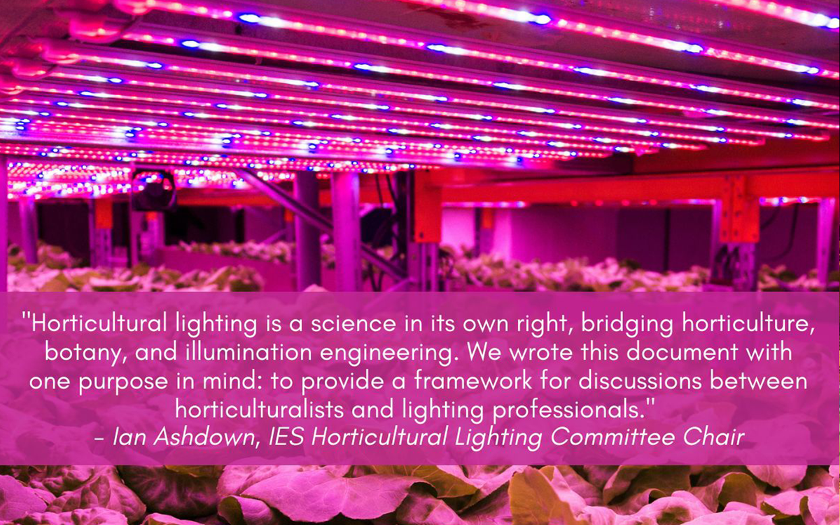 New Horticulture Lighting Standard Released — LED professional - LED ...