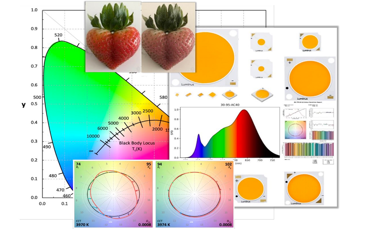 WHITE PAPER: Achieving Optimal Color Rendition with LEDs — LED ...
