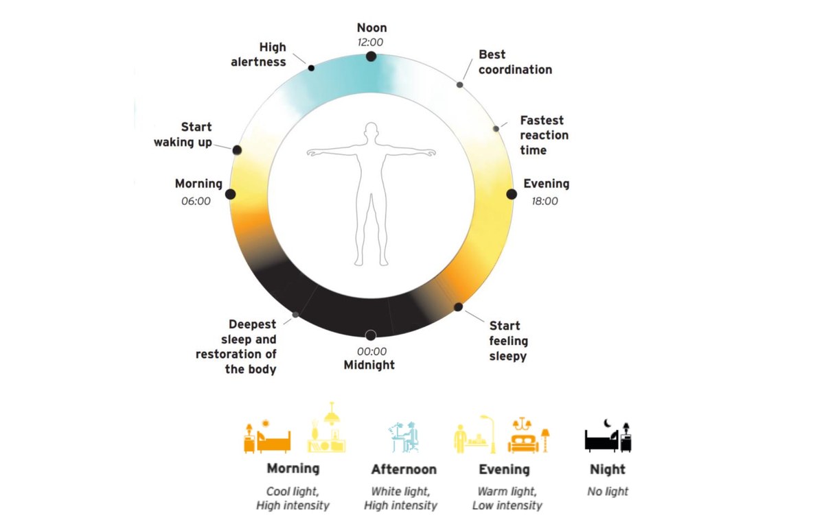 Joint Position Paper by LightingEurope and the IALD on Human Centric ...