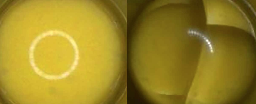 Lifetime Calculation of White HP-LEDs from 16,000 Hours Aging Data ...