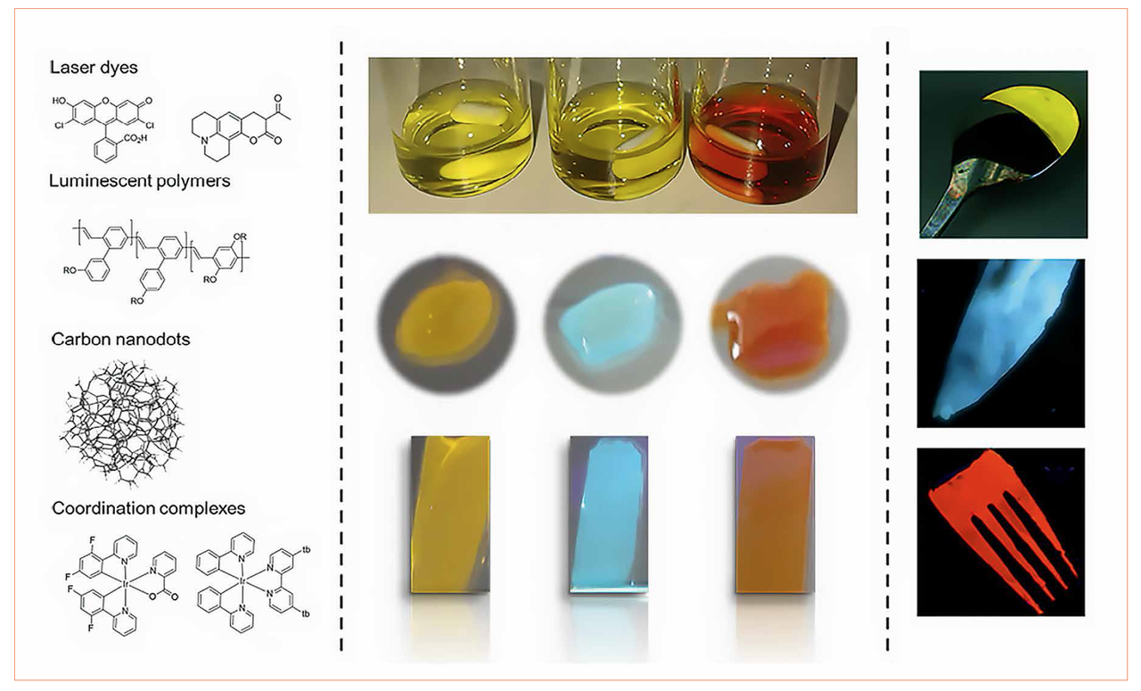 The Perspective of Bio-Hybrid White Light-Emitting Diodes Based on ...