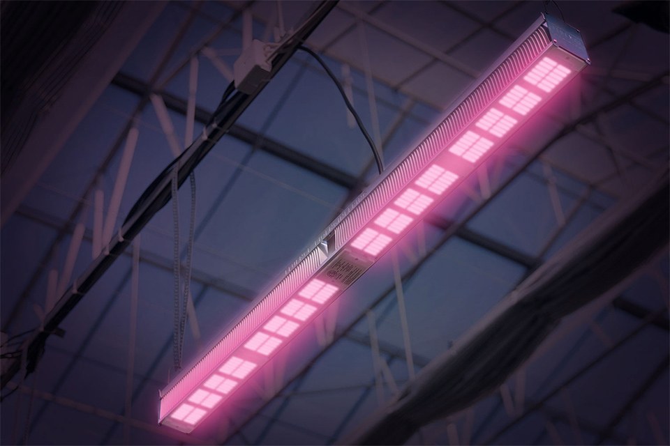 Fluence Expands PhysioSpec™ Spectra Offering on VYPR Series for Global ...