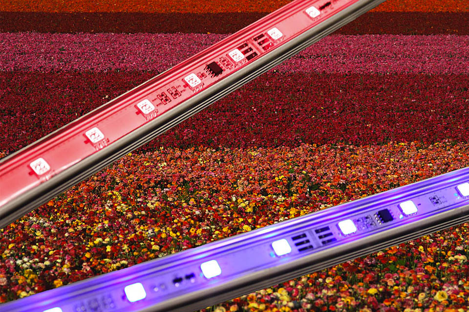 SunBrite Agricultural LED Lightbar Combines Superior Light Absorption ...