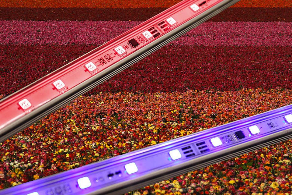 SunBrite Agricultural LED Lightbar Combines Superior Light Absorption ...
