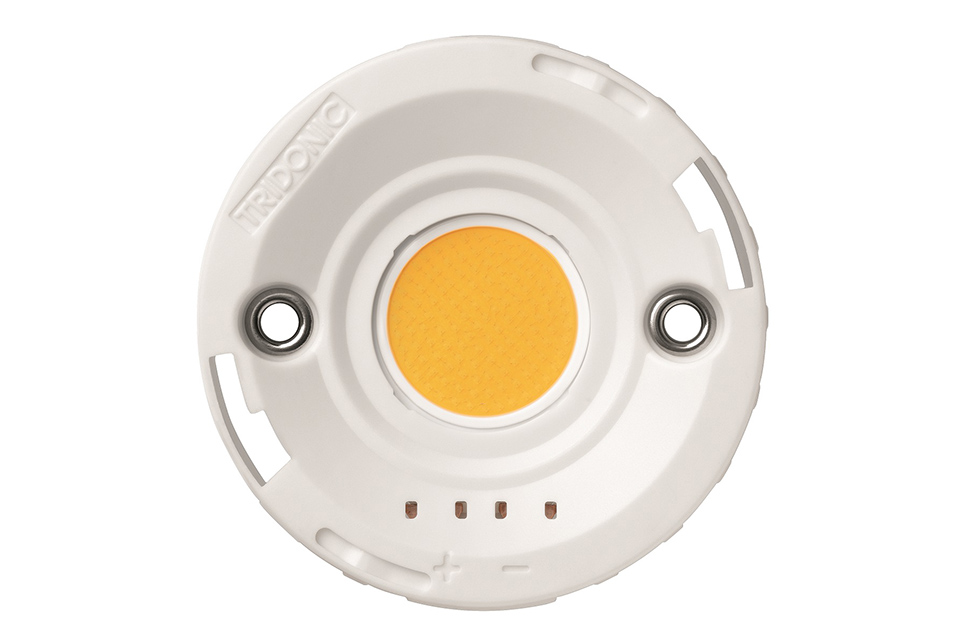 Tridonic's New LED Modules Display Food, Clothing and Art in Fithful ...