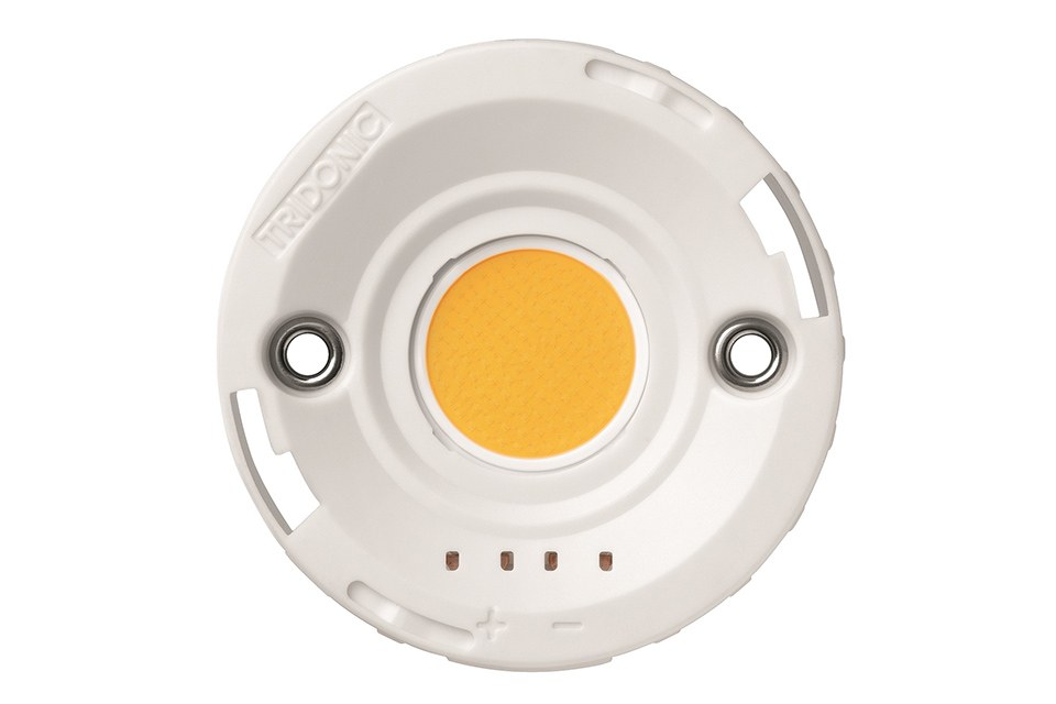 Tridonic's New LED Modules Display Food, Clothing and Art in Fithful ...