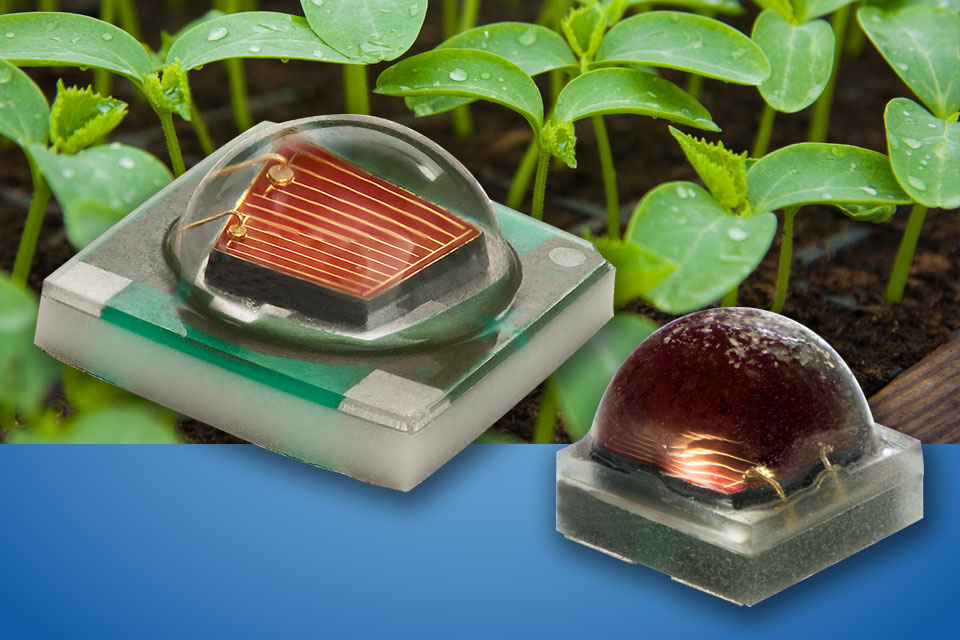 Cree Offers Industry’s Brightest, Most Efficient Horticulture LEDs ...