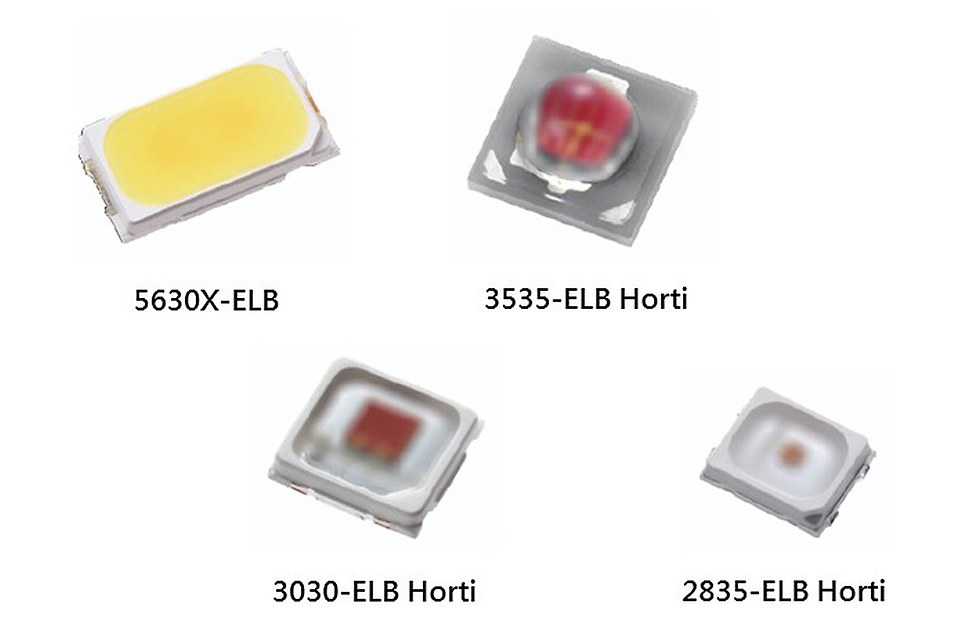 Everlight Introduces High-efficiency and Horticulture Lighting Products ...