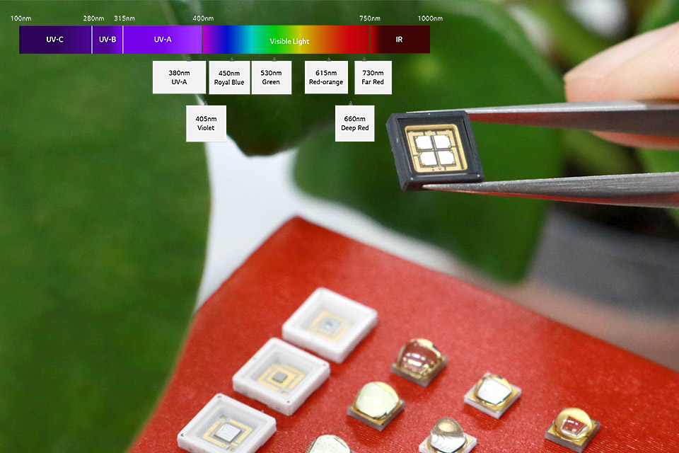 LG Innotek Unveils Full Lineup of Horticulture LEDs — LED professional ...