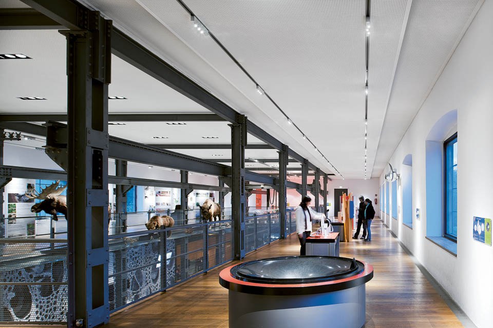 New Energy-Efficient Lighting Saves € 10,000 per Year at Nature Museum ...