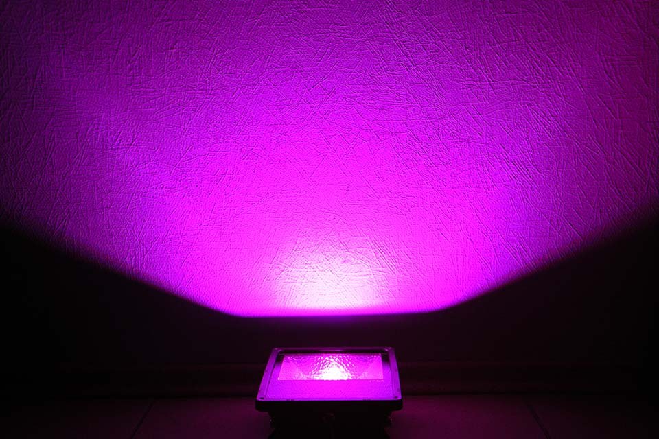 Prolite Group Introduces a LED Flood Light for Professional Greenhouse ...