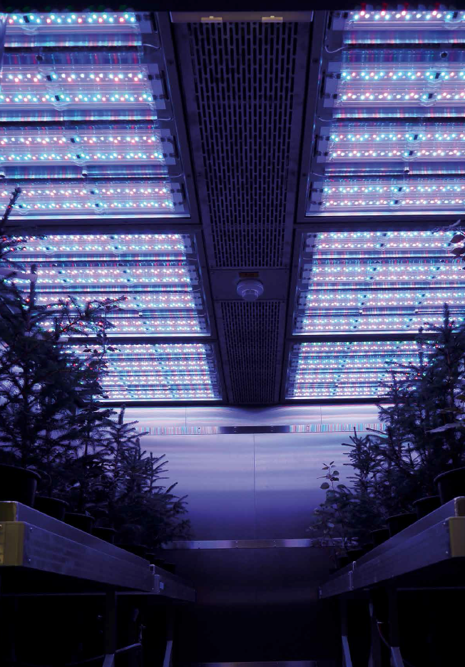 Bio-Effective Lighting for Humans, Livestock and Plants — LED ...