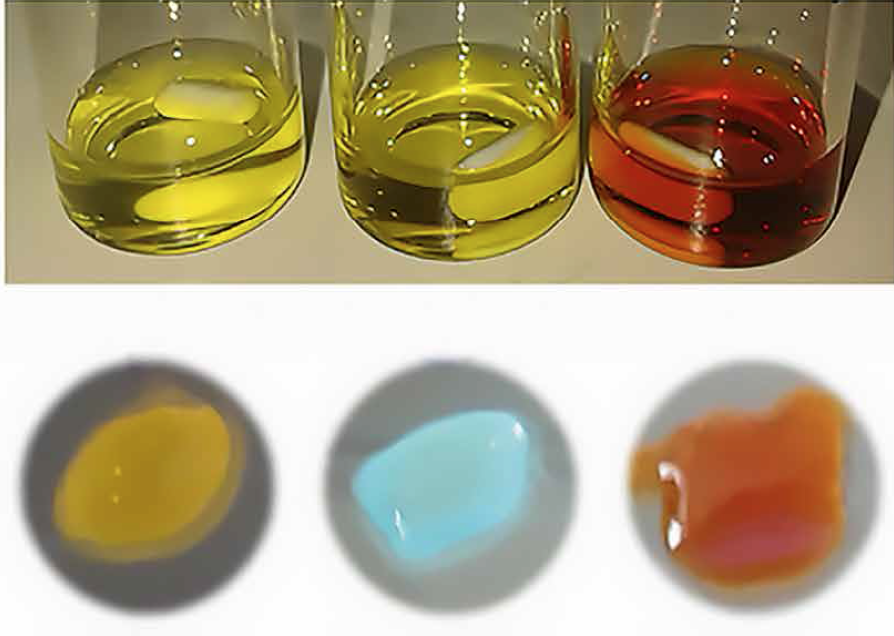 The Perspective of Bio-Hybrid White Light-Emitting Diodes Based on ...