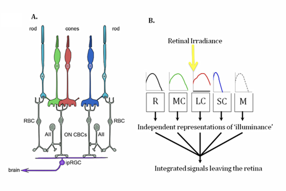 CIE Position Statement on Non-Visual Effects of Light - 2nd Edition ...