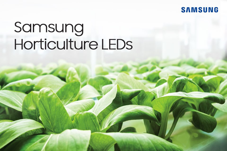 WHITE PAPER - Samsung’s Horticulture LEDs Using Full Spectrum — LED ...