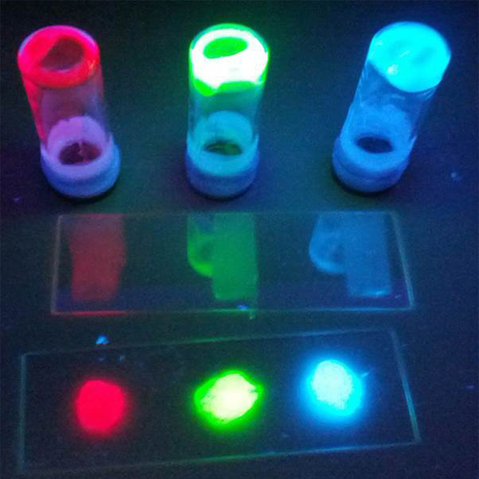 FAU Researchers Create the World's First White LEDs Based on ...
